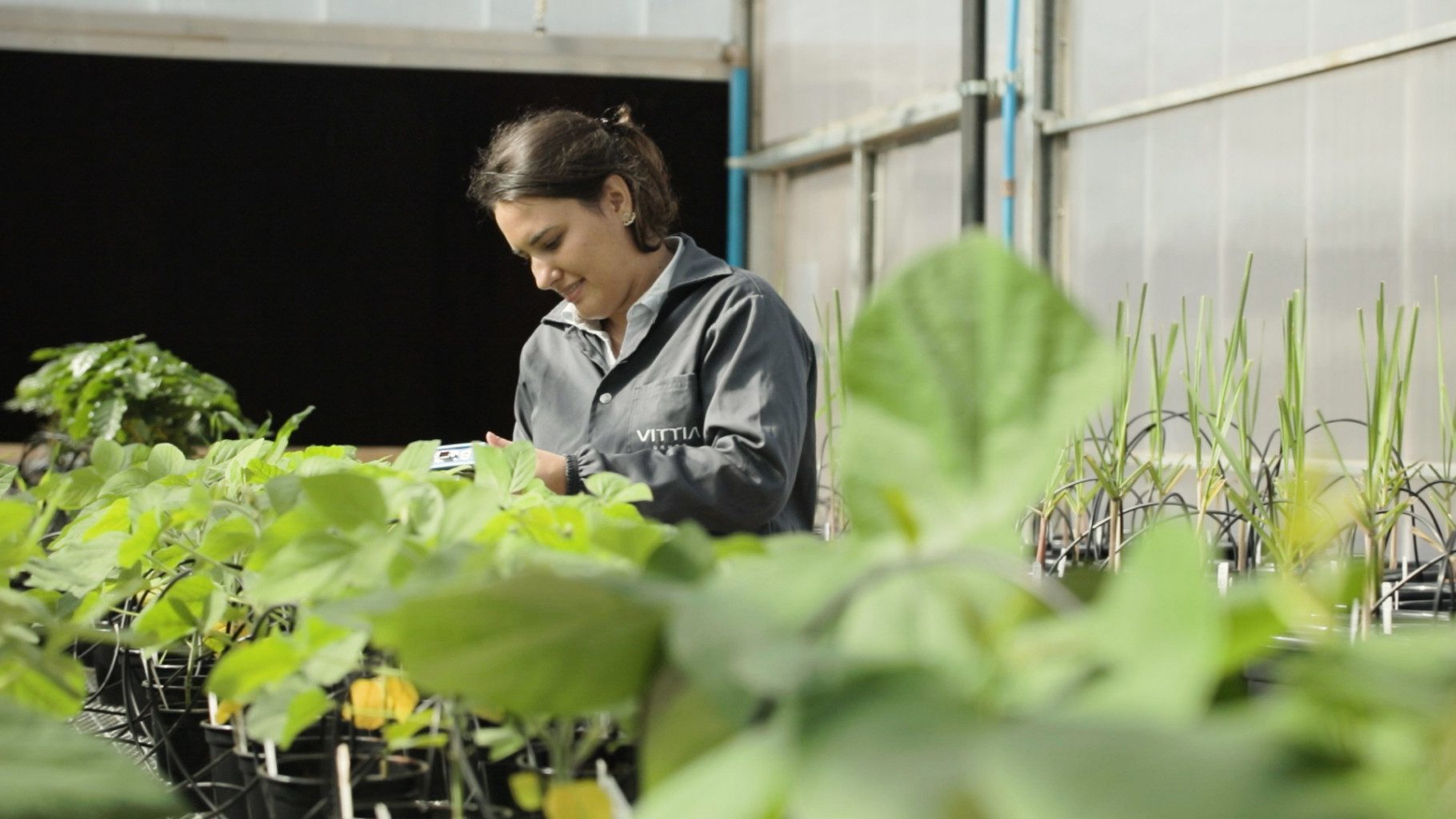 Com biotecnologia, Vittia traz o futuro da agricultura para a 17ª ...