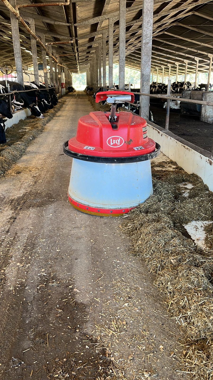 Empurrador automático de alimento ganha espaço em fazendas produtoras ...