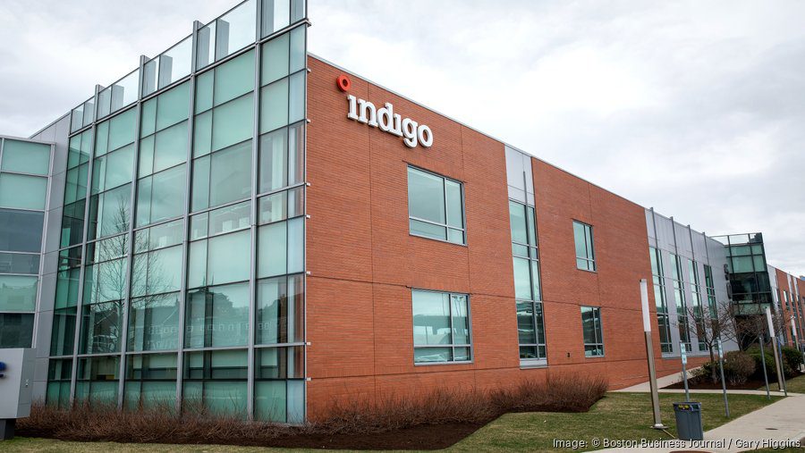 Indigo Ag anuncia venda recorde de créditos de carbono à Microsoft ...