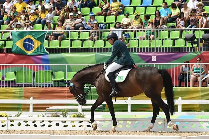 Cavalo Brasileiro de Hipismo: Ideal para Esportes e Competição - Agron ...